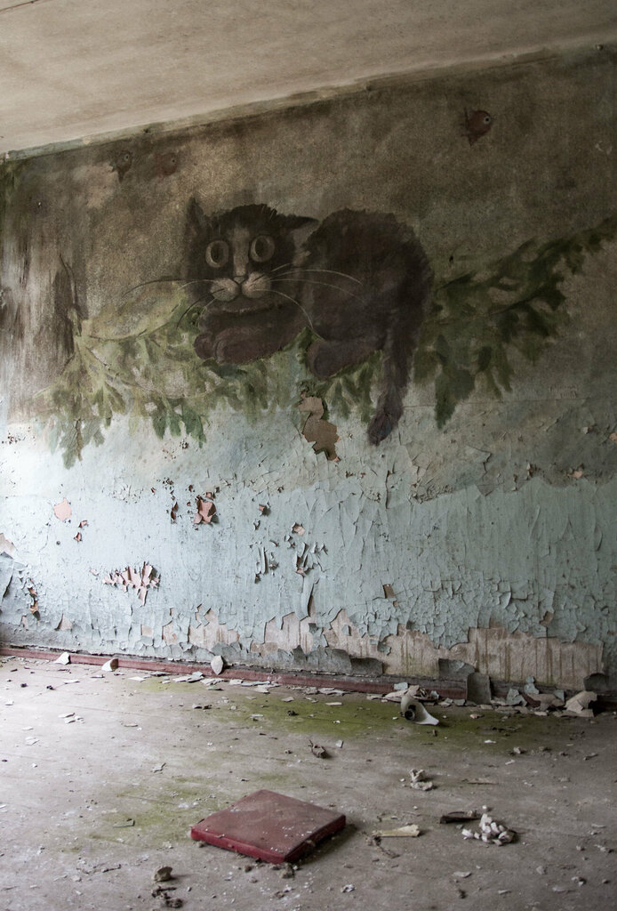 Unutulmaz olayların yeri Пионерский лагерь Дружба, Moskova ve Moskovskaya oblastı, foto