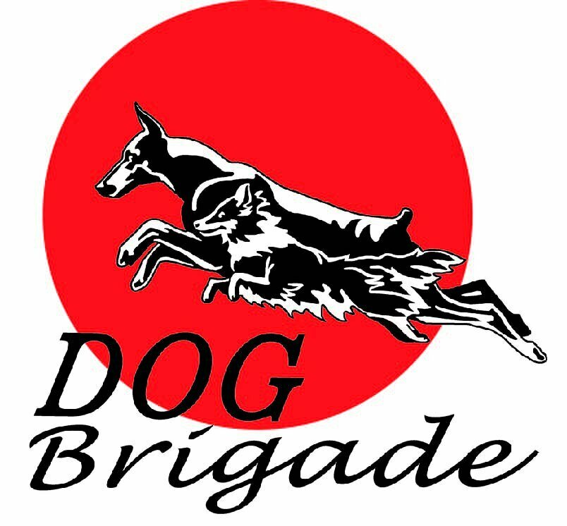 Hayvanat bahçesi merkezi Dog Brigade, Moskova ve Moskovskaya oblastı, foto