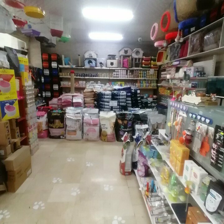Petshop Albino Petshop, Konya, foto