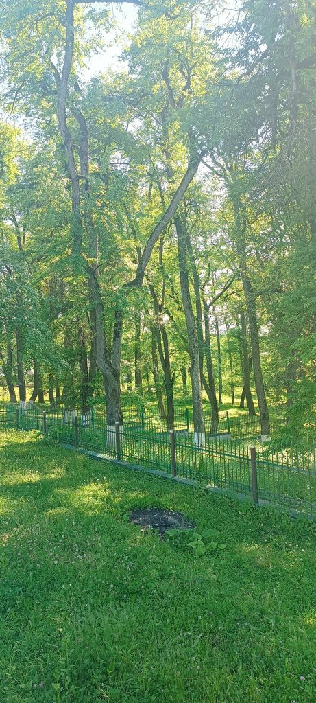Cami Хеди зиярат, Çeçen Cumhuriyeti, foto