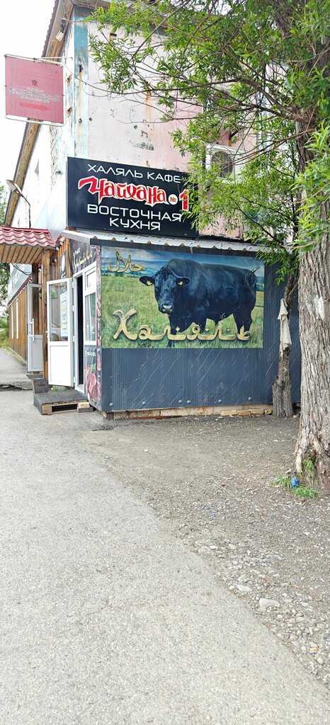 Kafe Чайхана № 1, Petropavlovsk, foto