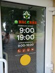 Настена (praspiekt Revaliucyi No:30), market  Borisov'dan
