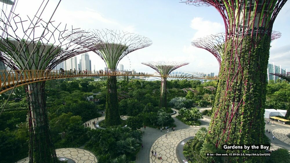 Otel Zen Rooms Orchard, Singapur, foto