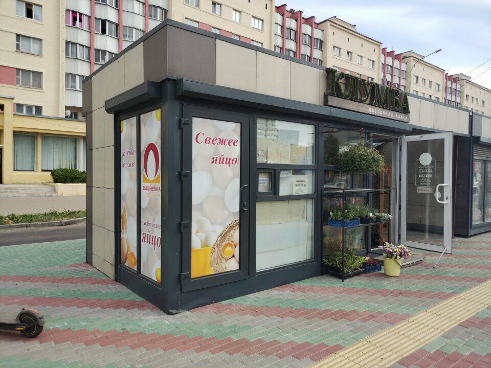 Kanatlı hayvan ürünleri ve yumurta Свежее яйцо, Moguilev, foto