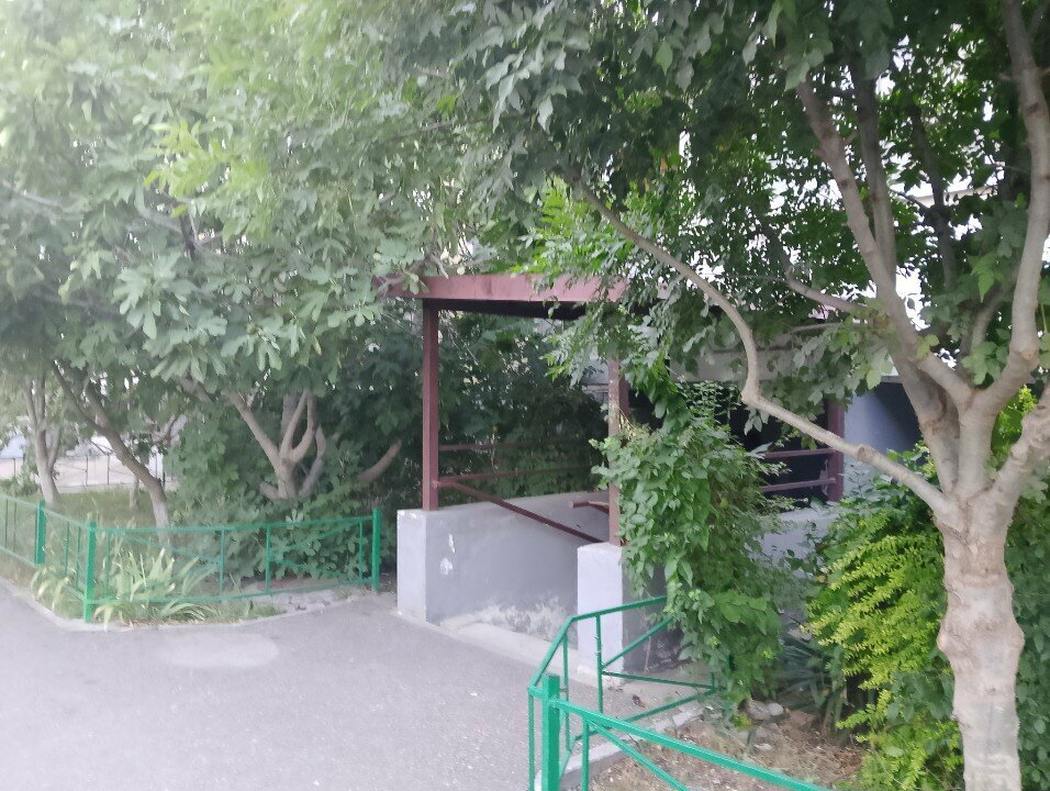 Ağda Tory sweet, Novorossiysk, foto