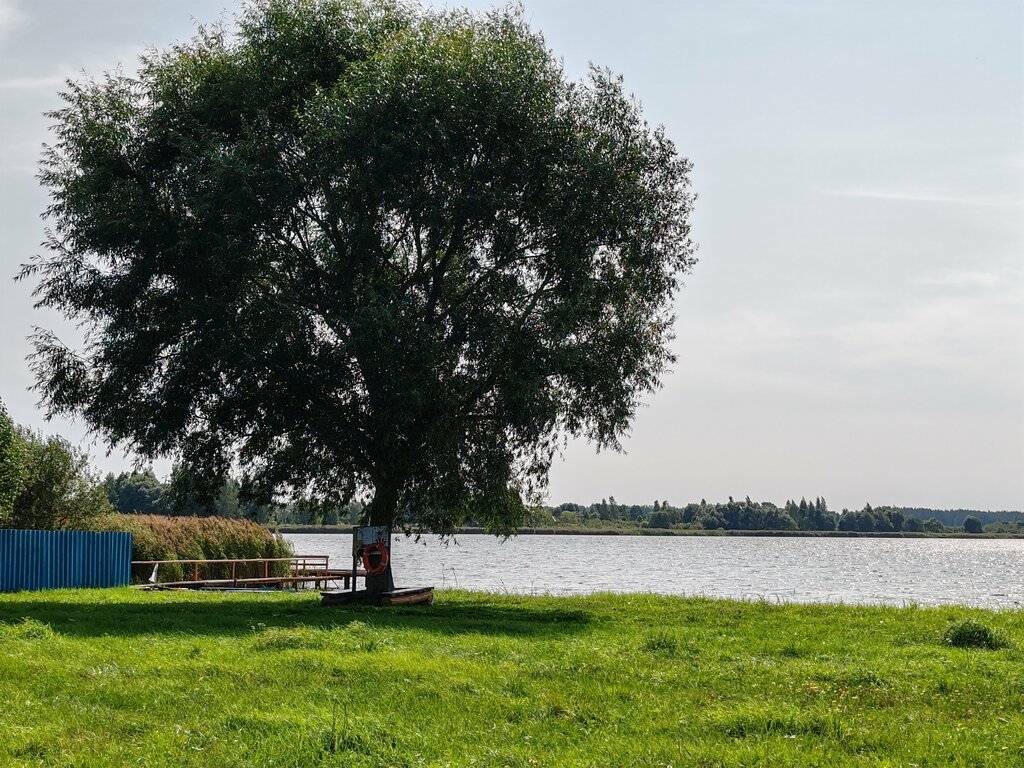 Kültür ve eğlence parkları дендропарк, Minskaya oblastı, foto