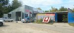 Три кита (Saratov, Zarechnaya ulitsa), oto kaporta  Saratov'dan