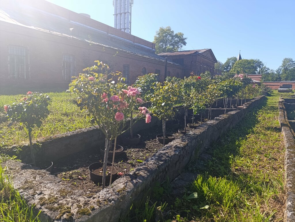 Turistik yerler Верхние теплицы, Puşkin, foto