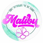 Malibu Flowers (ulitsa Gagarina No:18), çiçekçiler  Şadrinsk'ten