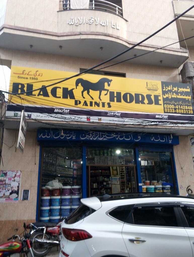 Boya ve cila malzemeleri üretim ve satış yerleri Shabbir Brothers Paint House, Lahor, foto