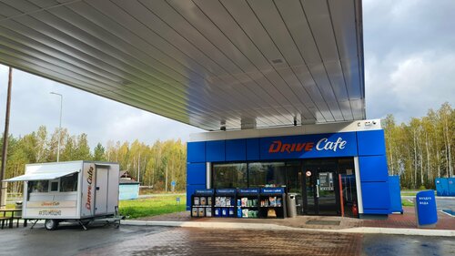 Benzin istasyonu Gazpromneft, Sverdlovskaya oblastı, foto