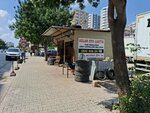 Aslan Oto Lastik (Pınar Mah., Nazım Hikmet Cad., Seyhan, Adana), jant ve lastikçiler  Adana'dan