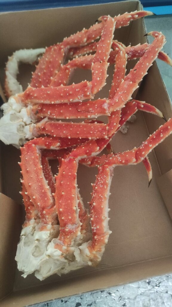 Balık ve deniz ürünleri Икра НСК, Novosibirsk, foto