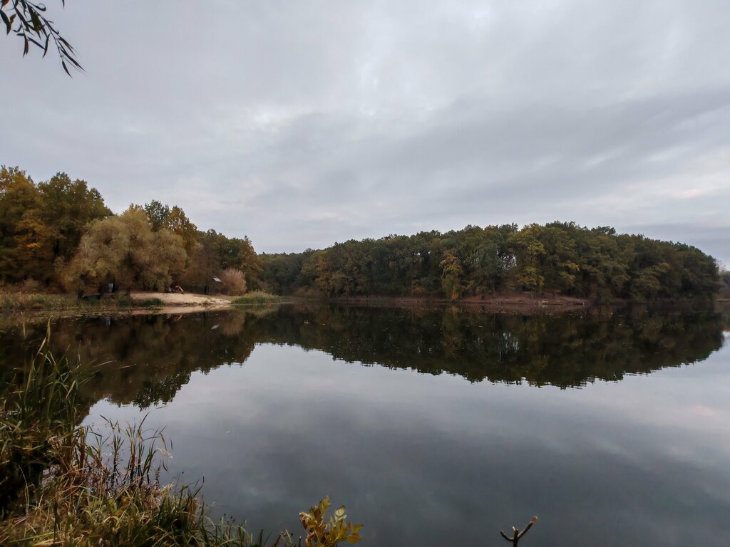 Orman урочище Зелёная Дубрава, Belgorodskaya oblastı, foto