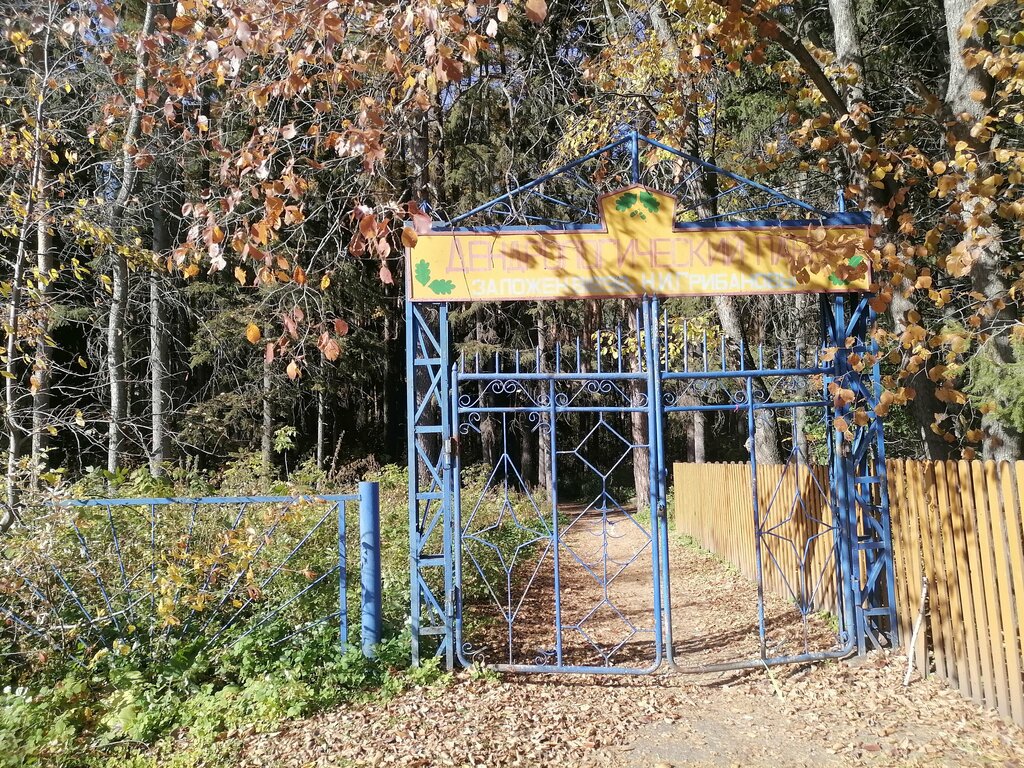 Kültür ve eğlence parkları Дендрологический парк, Omskaya oblastı, foto