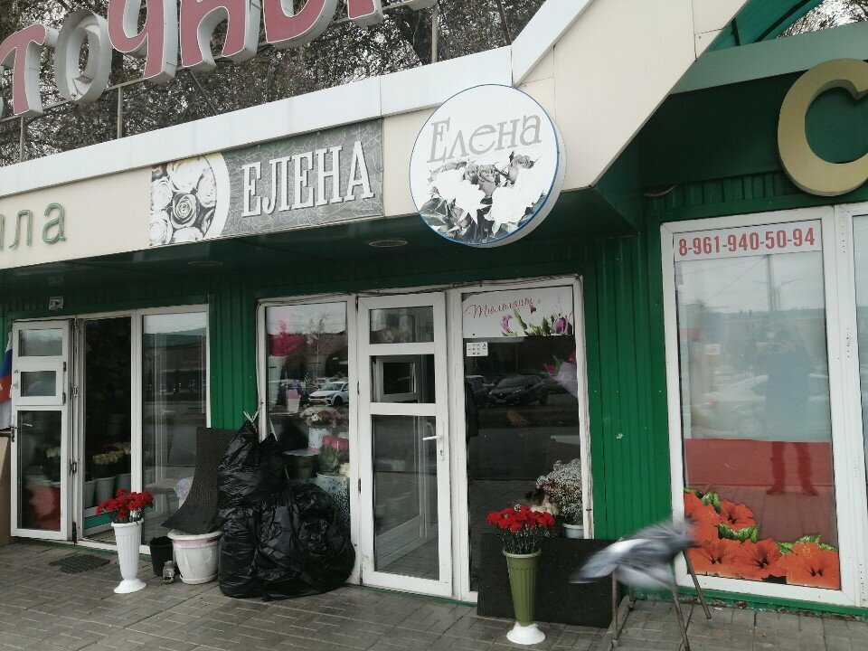 Çiçekçiler Елена, Orsk, foto