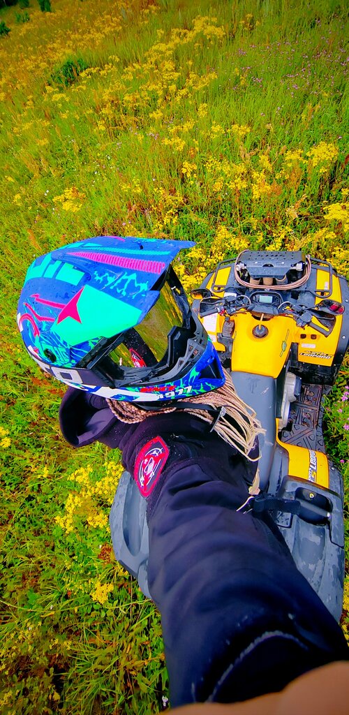 Kiralama noktası Pro Kvadrik, Moskova ve Moskovskaya oblastı, foto