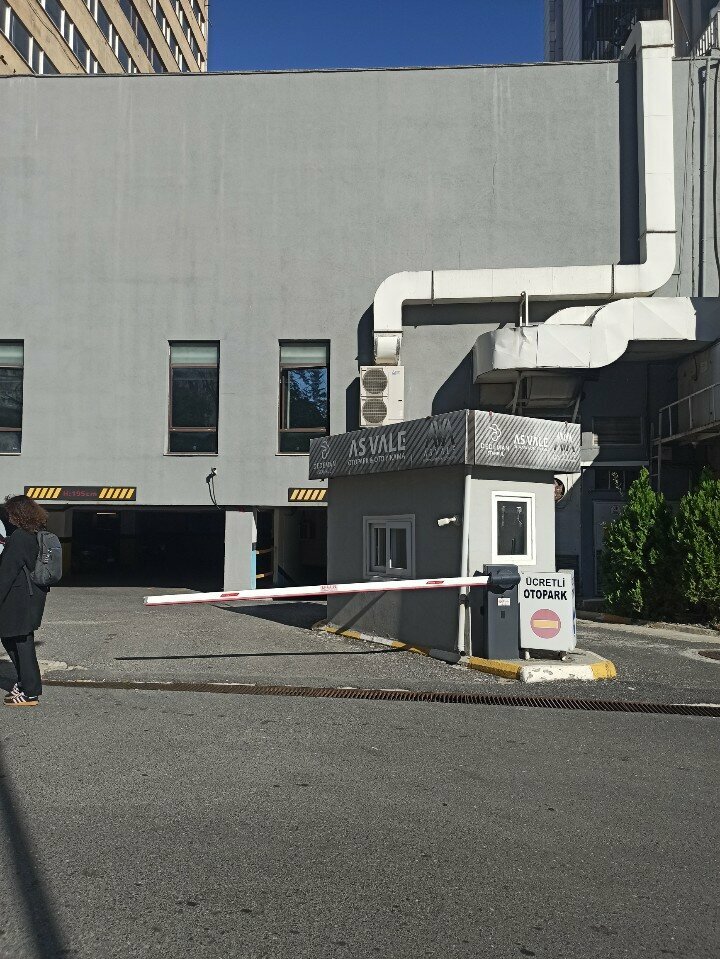 Oto yıkama AS Vale Oto Yıkama, İstanbul, foto