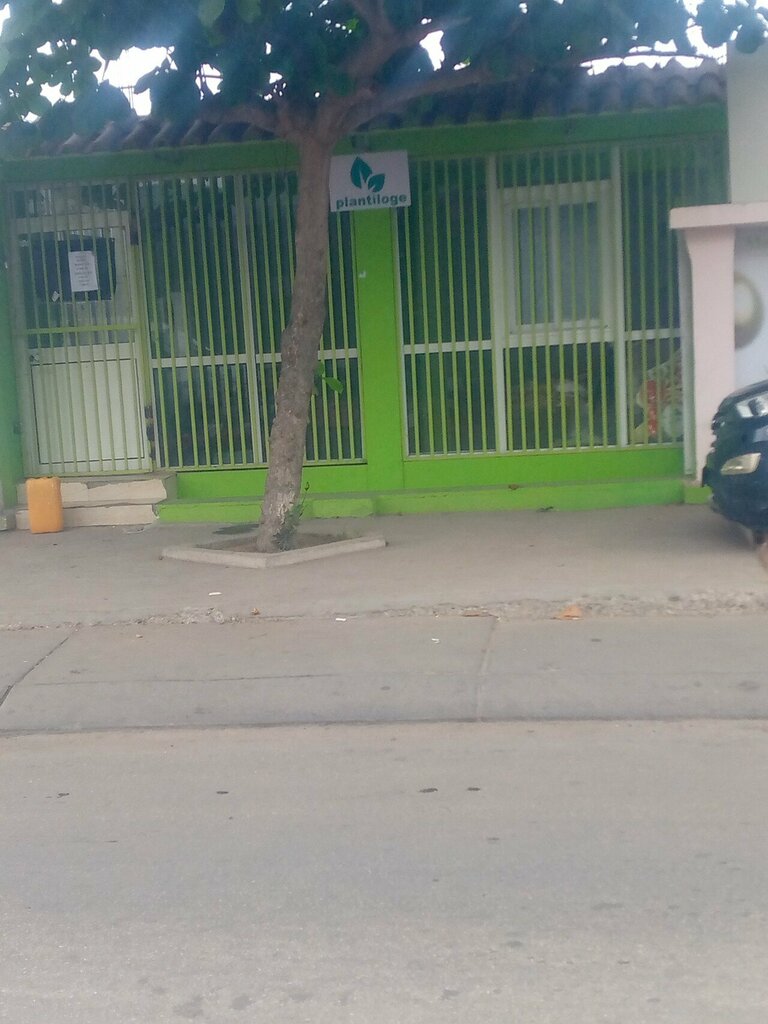 Toptan sebze ve meyve satışı Plantiloge, Loanda, foto