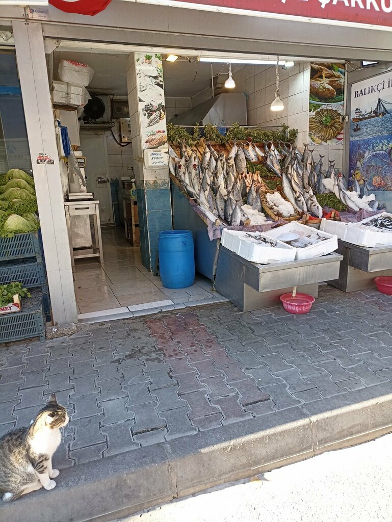 Balık ve deniz ürünleri Balıkçı İrfan, İstanbul, foto