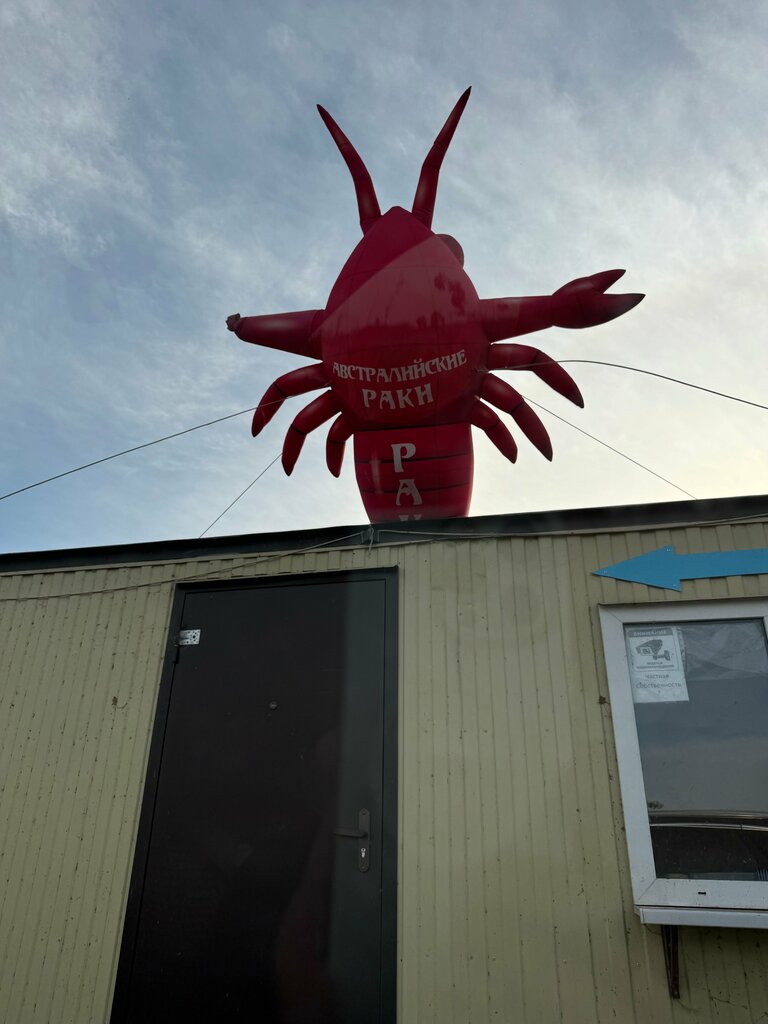 Balık çiftçiliği ve toptancıları Рыбопитомник Брюховецкий, Krasnodarski krayı, foto