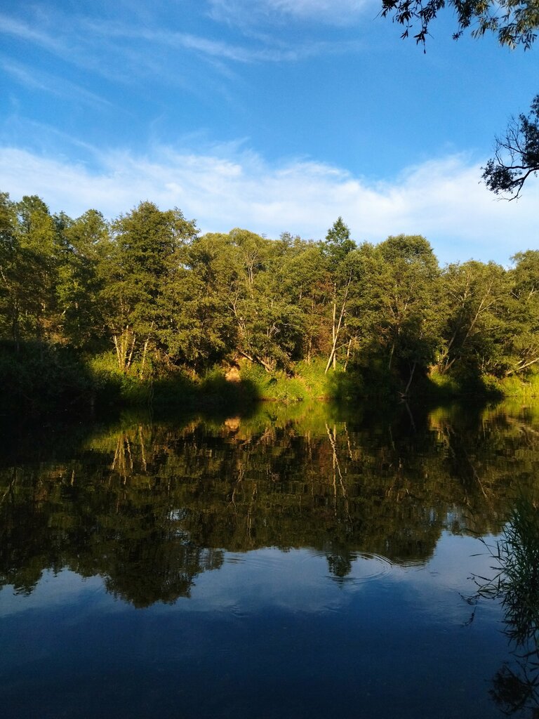 Plaj Пляж, Kalujskaya oblastı, foto