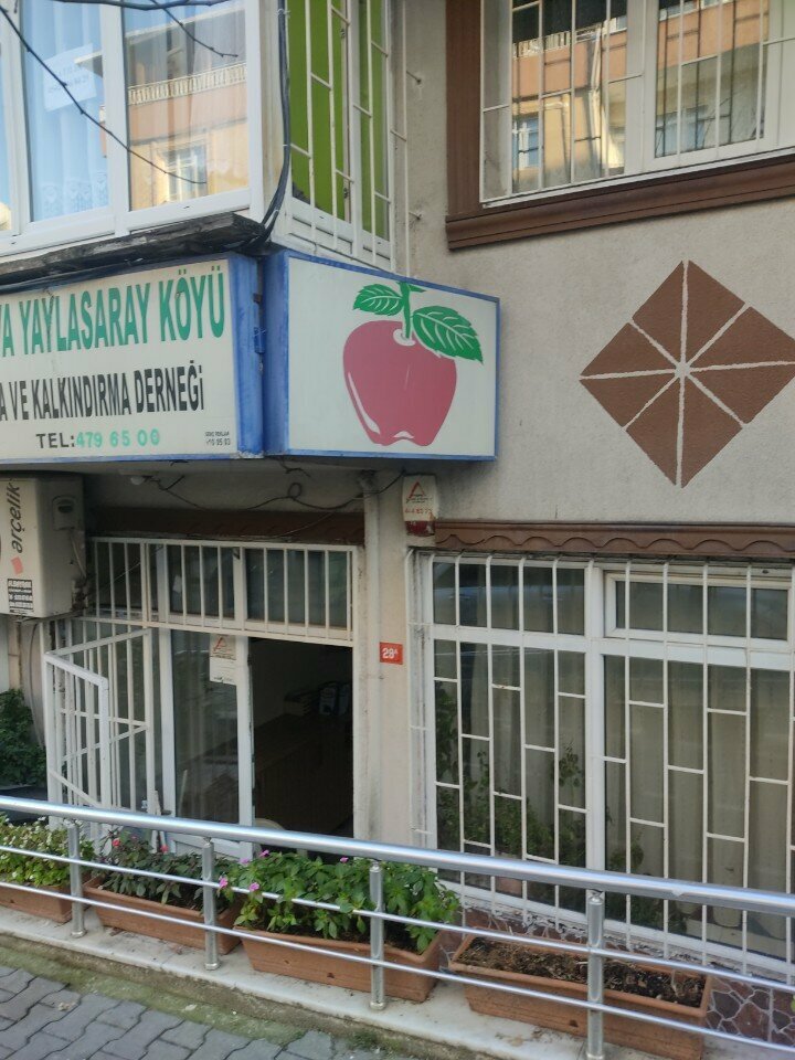 Sendikalar Amasya Taşova Yaylasaray Köyü Sosyal Yardımlaşma ve Kalkındırma Derneği, İstanbul, foto