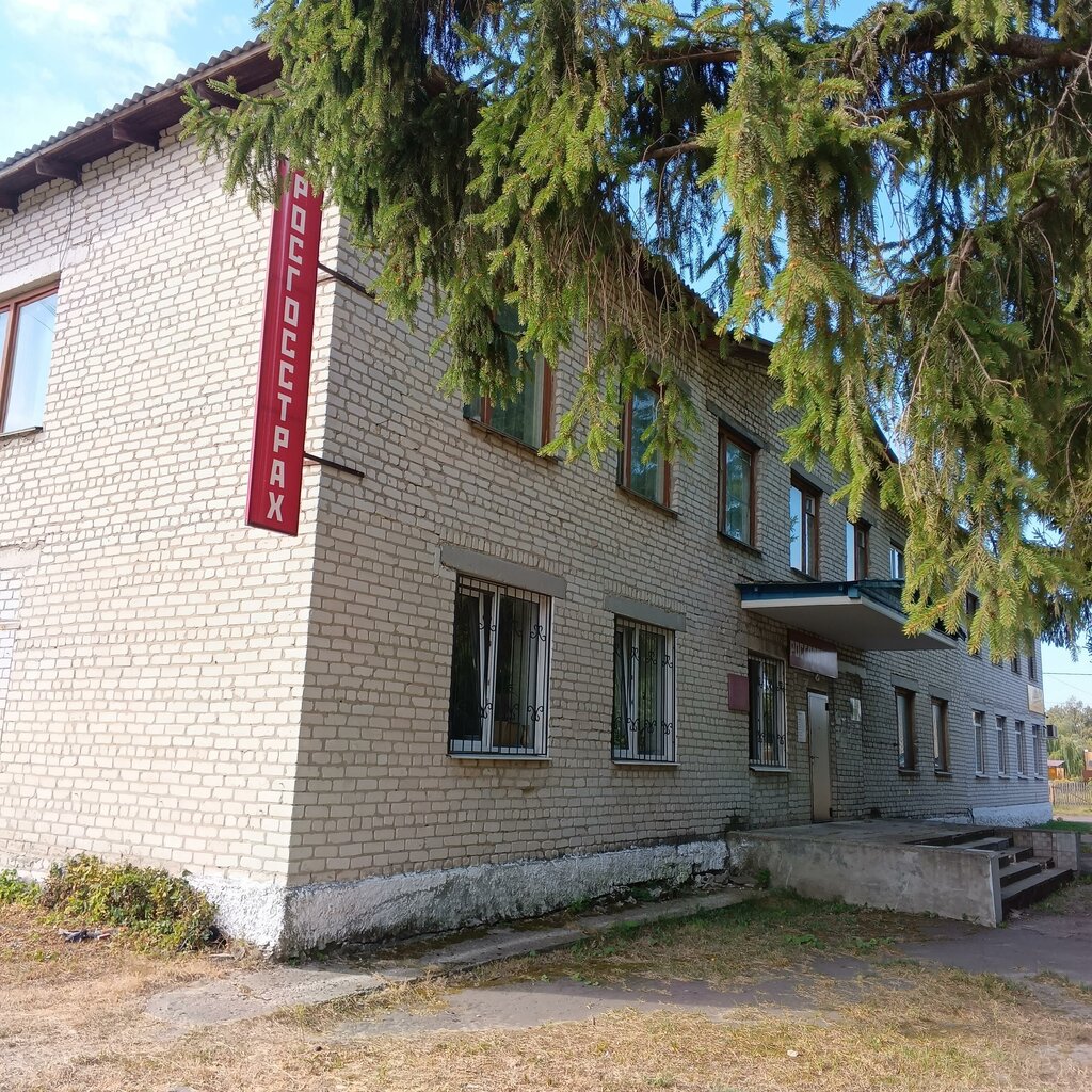 Sigorta şirketleri Росгосстрах, Brianskaya oblastı, foto