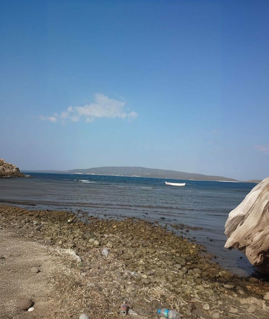 Süpermarket Özmen Gıda, Urla, foto