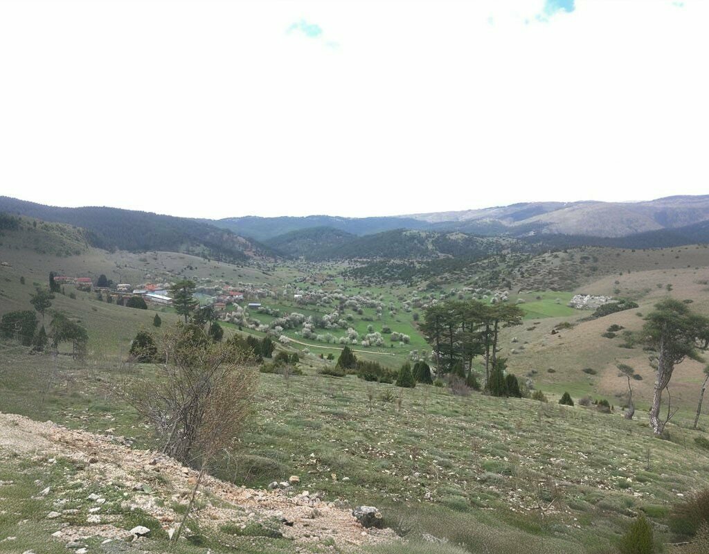 Cami Camiliyayla Köyü Cami, Bozüyük, foto