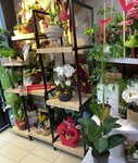 Buket (Diyarbakır, Bismil, 604. Sok., 16A), çiçekçiler  Bismil'den