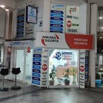 Mercan Sigorta (Samsun, Vezirköprü, Fazıl Ahmet Paşa Mah., 121. Sok., 16), sigorta acentaları  Vezirköprü'den