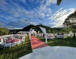 Ladin Garden Kır Düğün Salonu (Ordu, Fatsa, Kumru Korgan Asfaltı Cad., 133), düğün, toplantı salonu  Fatsa'dan