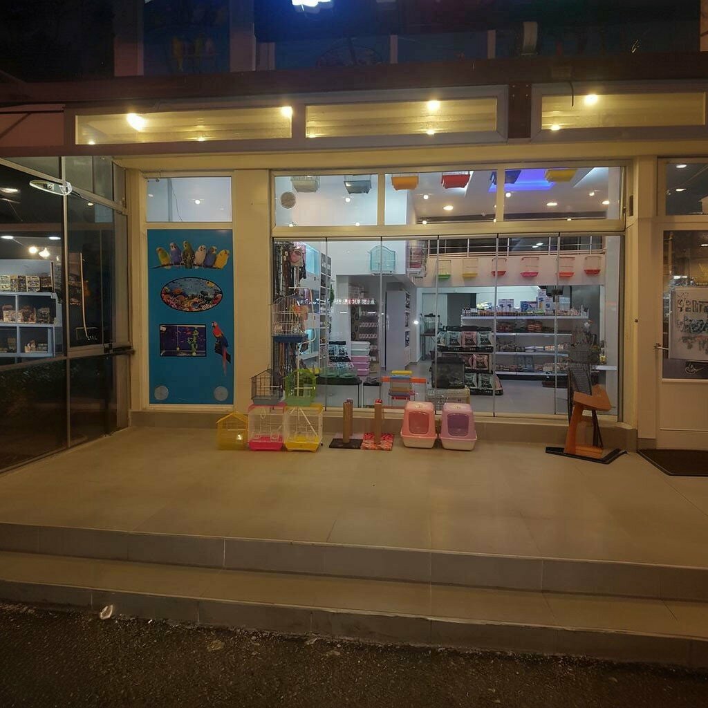 Restoran Meşhur Adıyaman Çiğköftecisi ve Pilav İstanbul, Atakum, foto