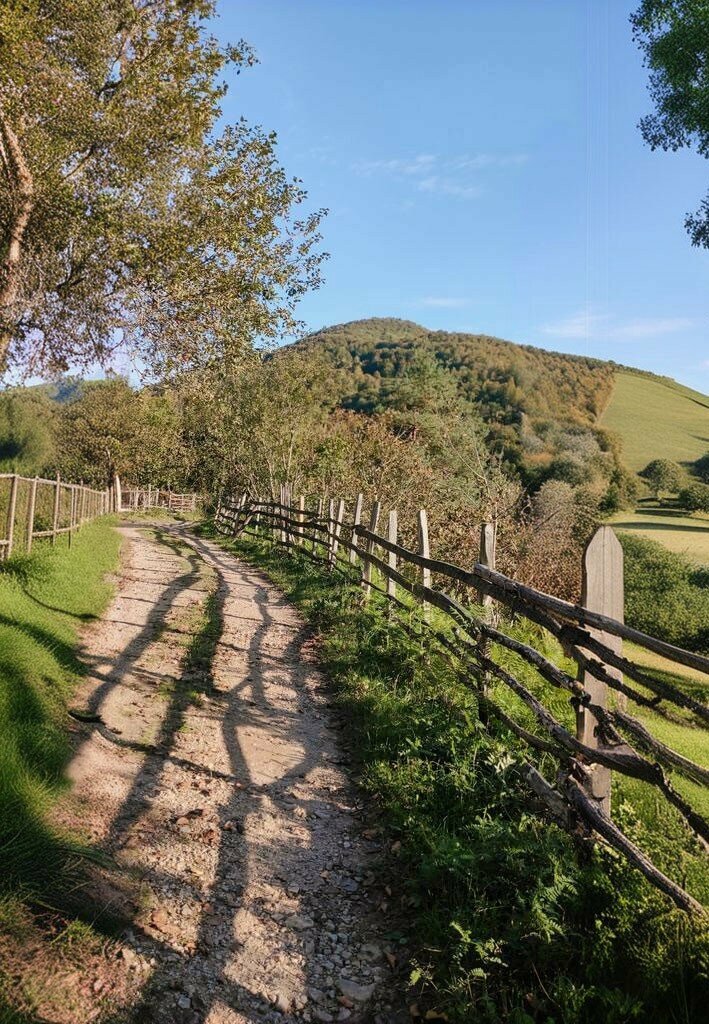 Muhtarlıklar Hacıahmet Köy Muhtarlığı, Cide, foto