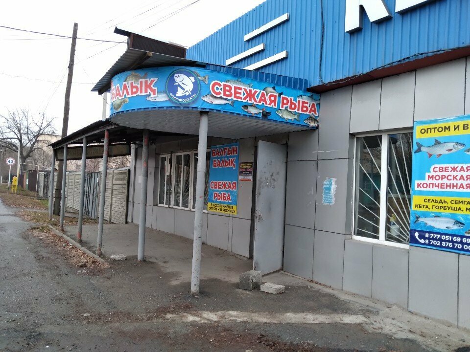 Balık ve deniz ürünleri Fresh Fish, Taldıkorgan, foto