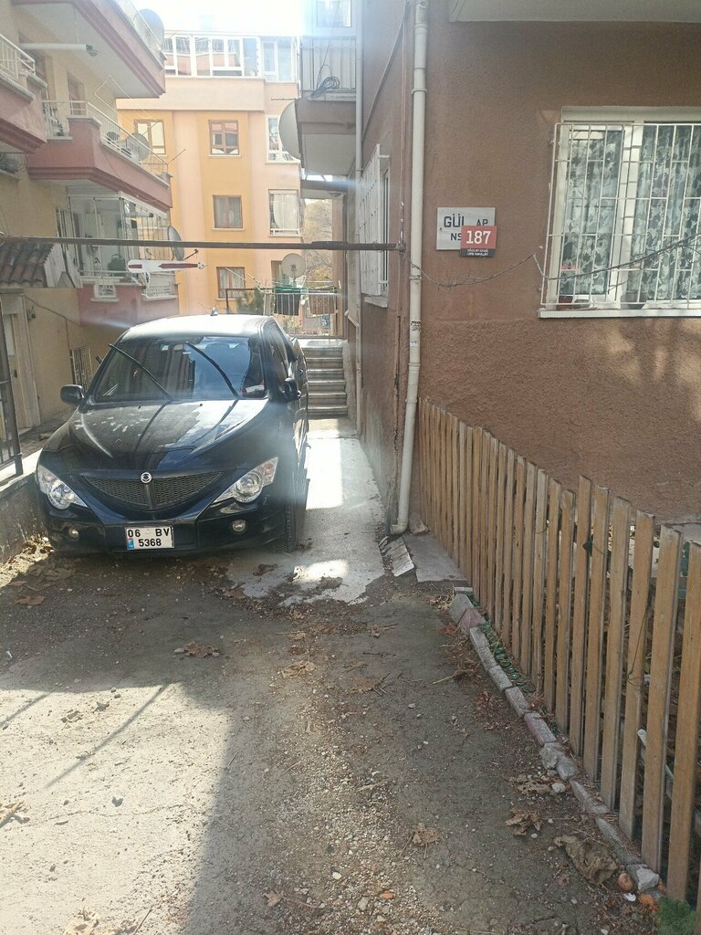 Müzik enstrumanların tamiri Karadeniz Kemençe, Ankara, foto