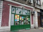Pet Jungle (Venizelosova Street No:17), petshop  Belgrad'dan