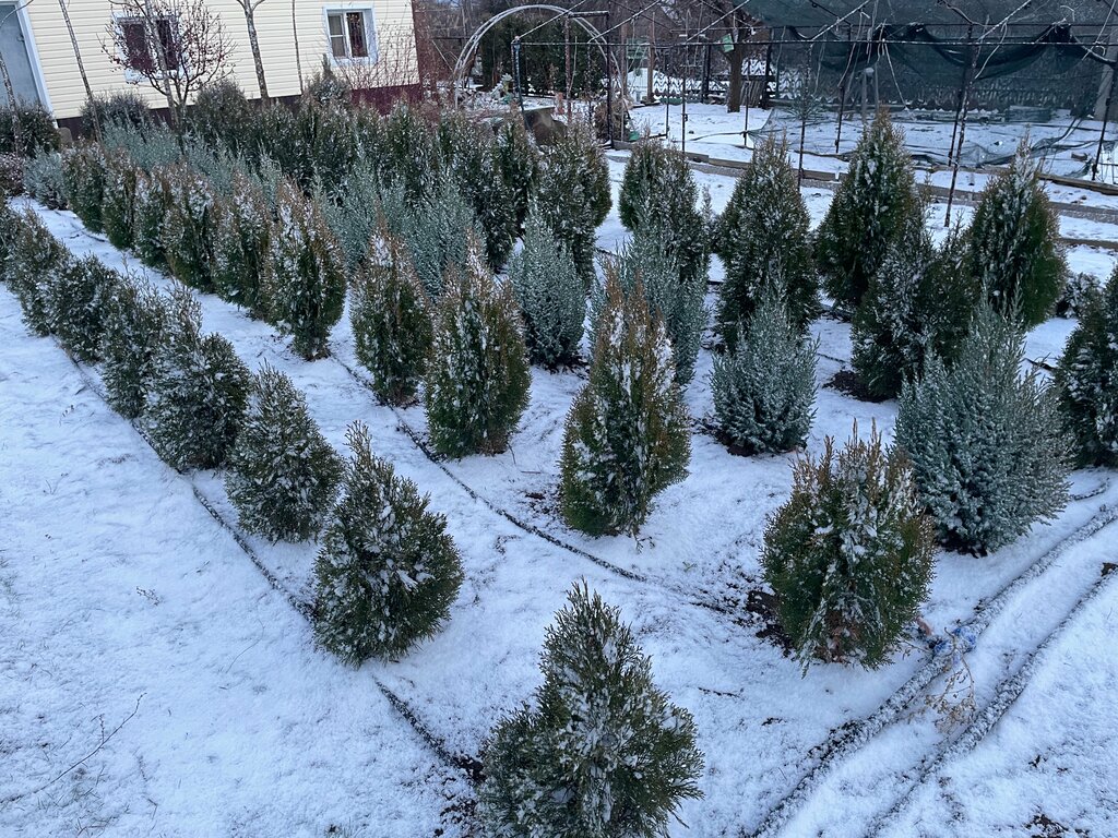 Haşere ilaçlama firmaları Садовый помощник, Volgogradskaya oblastı, foto