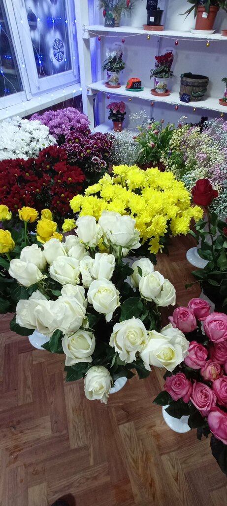 Çiçekçiler Цветы и сувениры, Novgorodskaya oblastı, foto