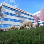Kırıkkale Üniversitesi Veteriner Fakültesi (Kırıkkale, Yahşihan, Yeşil Vadi Mah., Hoca Ahmet Yesevi Cad.), üniversiteler  Kırıkkale'den