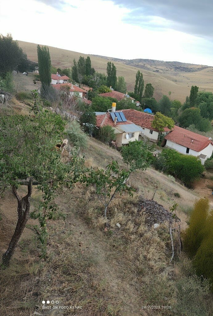 Muhtarlıklar Sarıtarla Köy Muhtarlığı, Eldivan, foto