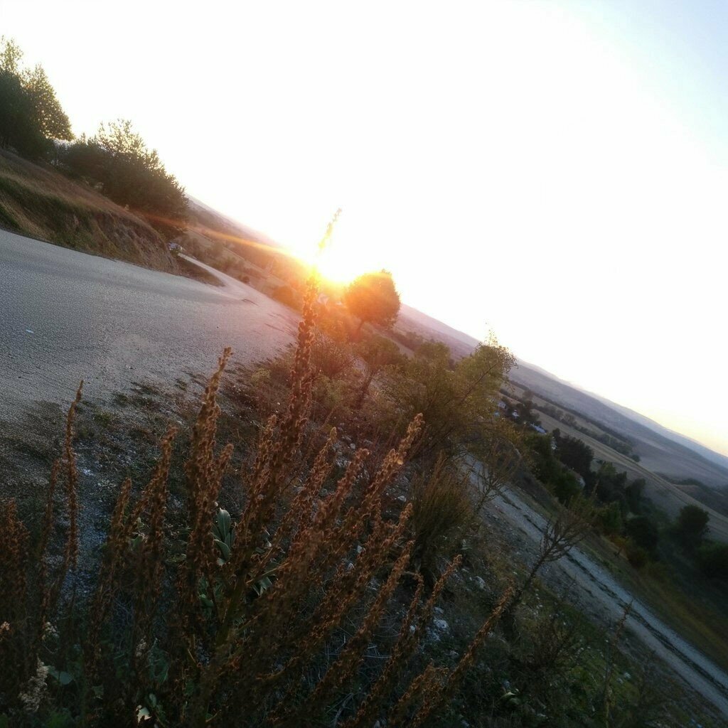 Muhtarlıklar Çontay Köy Muhtarlığı, Devrekani, foto