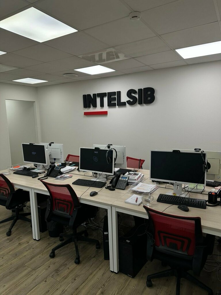 i̇nternet pazarlama şirketi Intelsib, Saint‑Petersburg, foto
