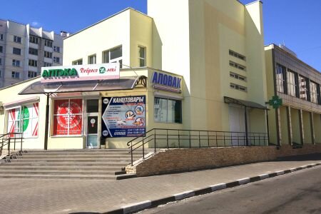 Kırtasiyeler Аловак, Gomel, foto