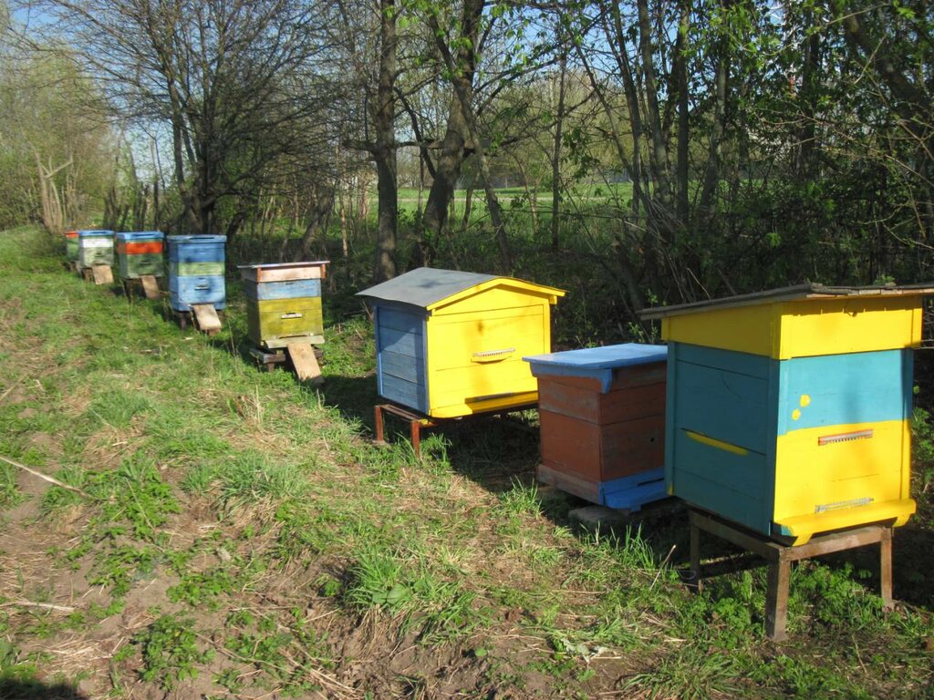 Bal ve arıcılık firmaları Med ot Mishi, Tulskaya oblastı, foto