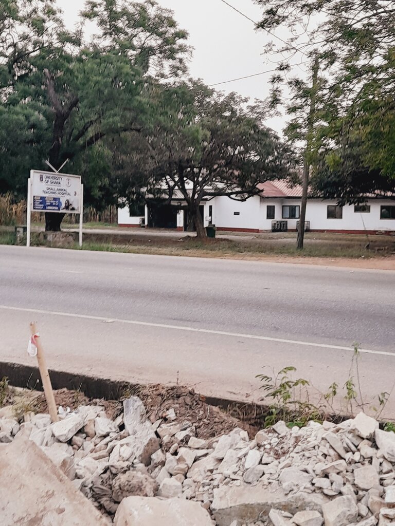 Veteriner klinikleri Small Animal Teaching Hospital, Akra, foto