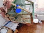 Pet Shop (Sughd Province, Khujand, Rifat Haciyev Sok.), petshop  Hücent'ten