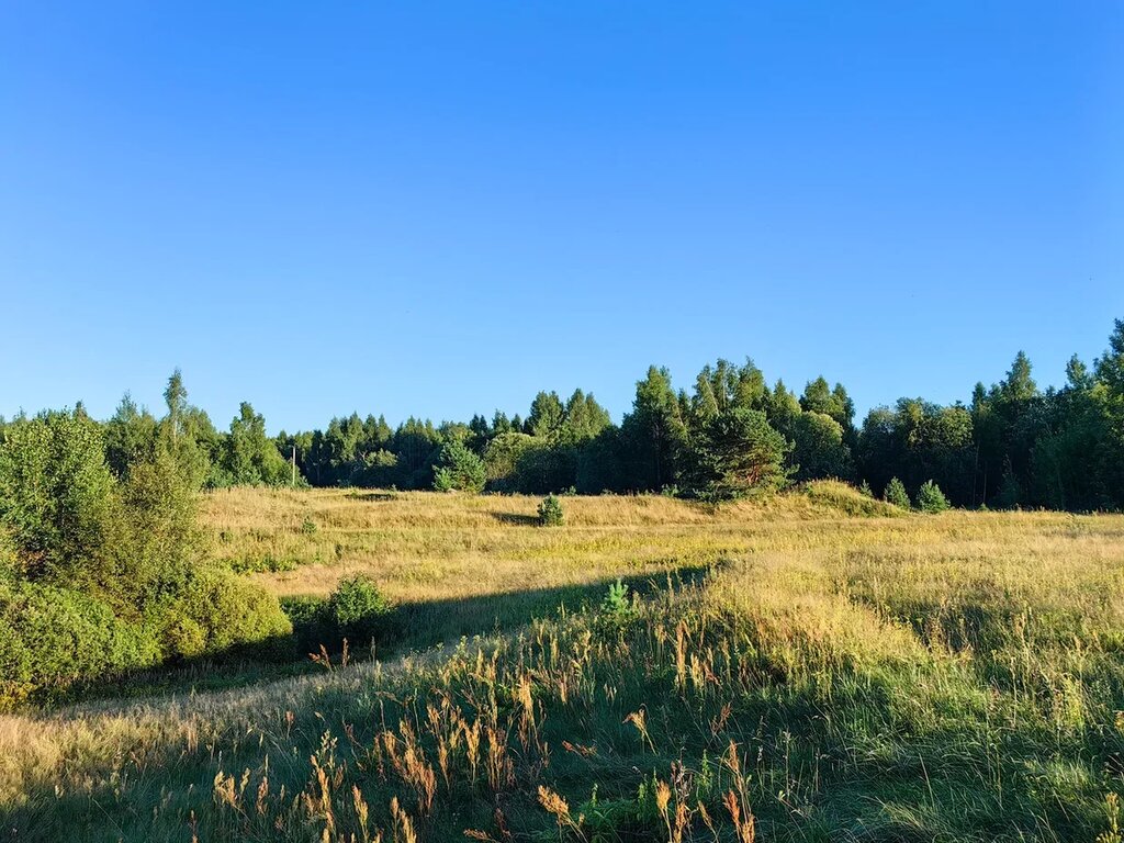 Turistik yerler Объект культурного наследия федерального значения Могильник культуры длинных курганов, Pskovskaya oblastı, foto