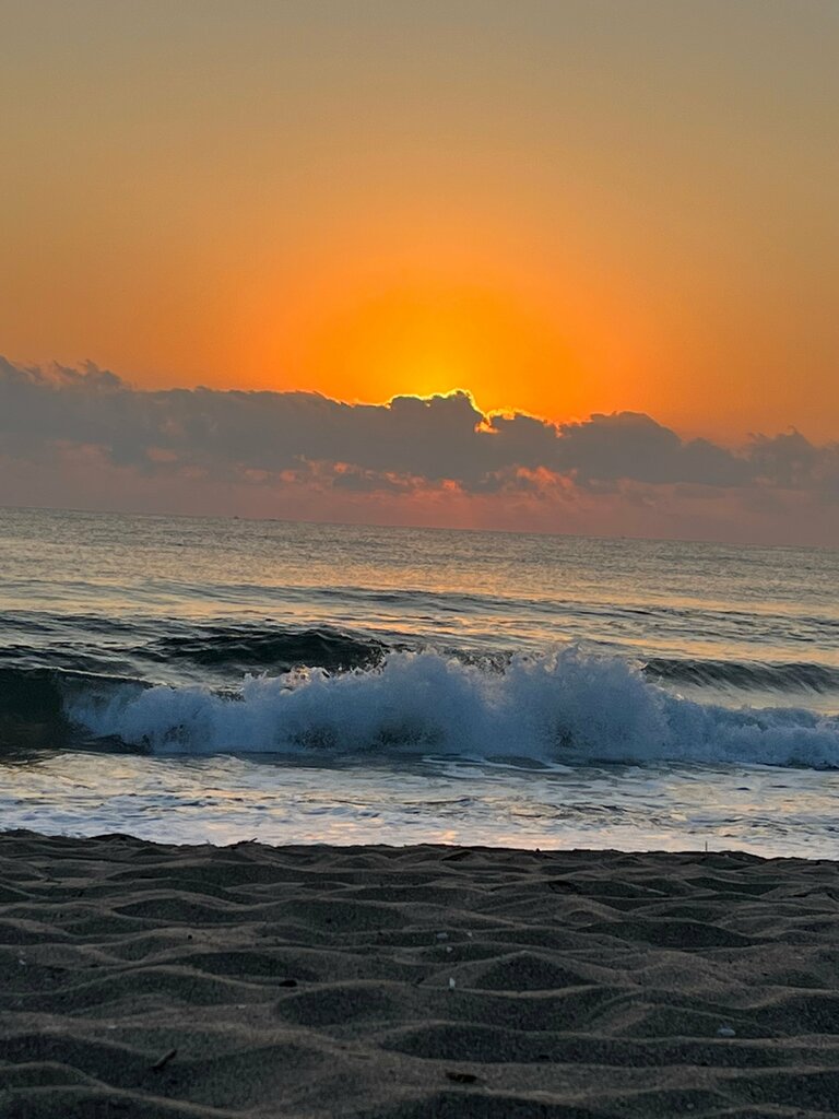 Plaj Пляж Оазис, Dünya, foto